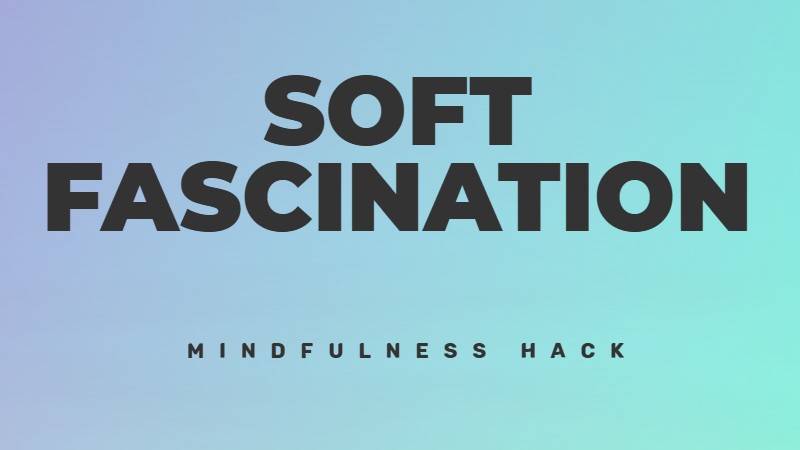 How to fix your attention in 1 week